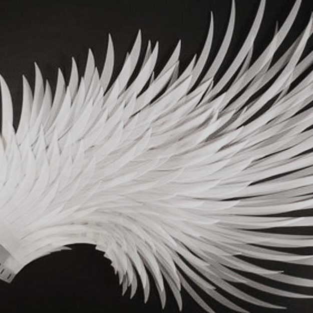 Design com Tyvek® | DuPont™ Tyvek® for Design